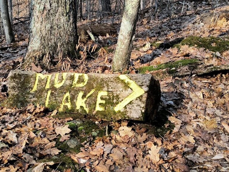 Hike with ADK: Mud Lake - Otsego Outdoors