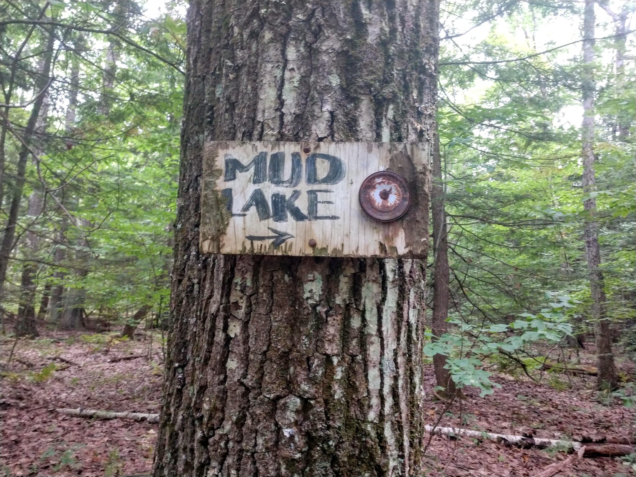 Queer Outdoors: Mud Lake Hike - Otsego Outdoors