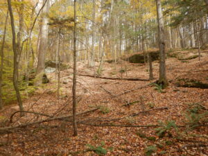 fall hillside - Otsego Outdoors